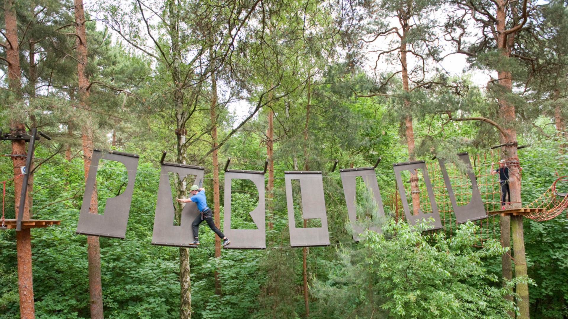 Pyrland Park Linowy | Bilet wstępu OK Poznań na wszystkie atrakcje od ...